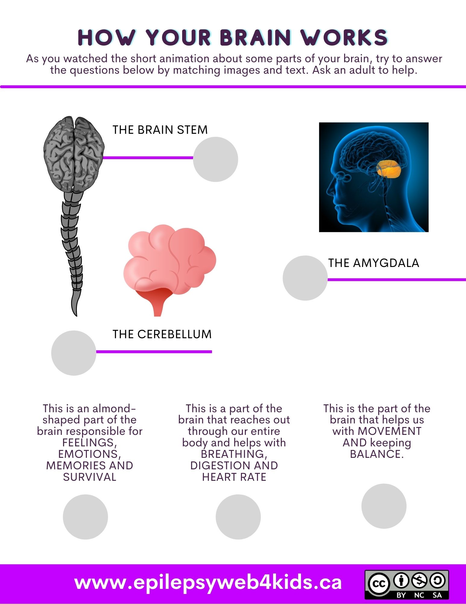 HOW YOUR BRAIN WORKS - Epilepsy Kids Website